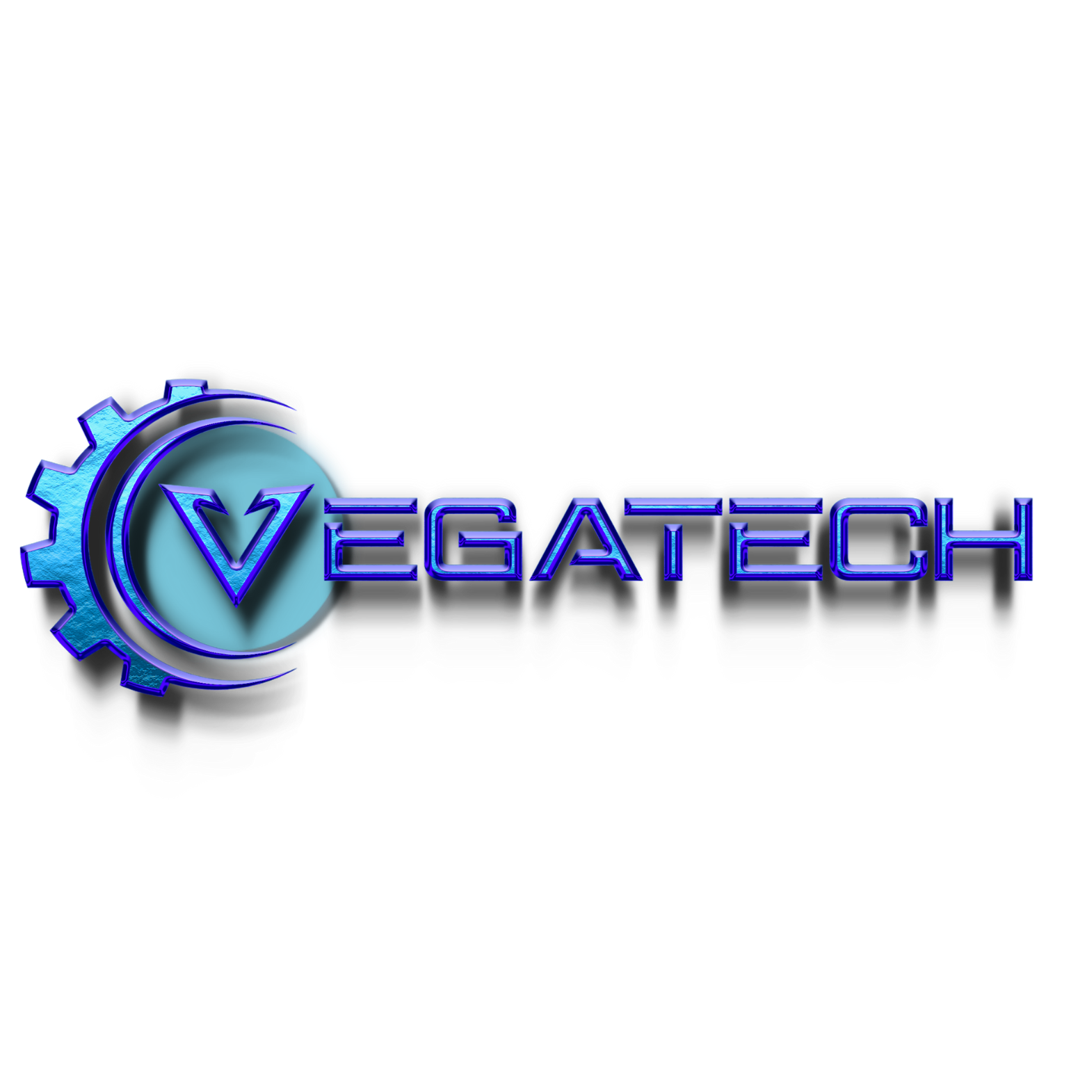 About Us - Vega Tech Services